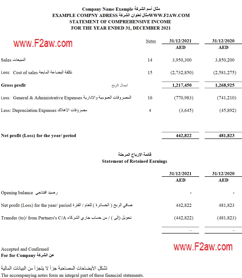 Financial Statements القوائم المالية